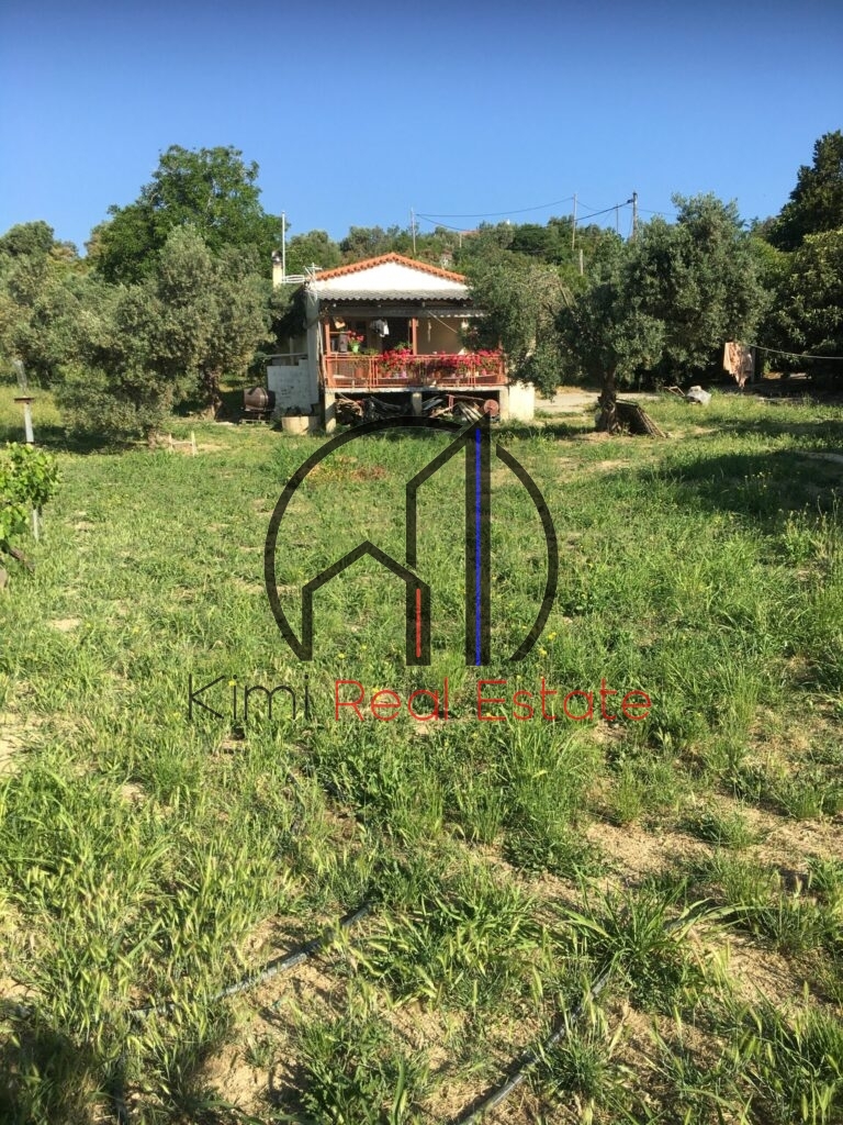 Κύμη-Οικόπεδο 5 Στρέμματα με οικία 35τ.μ. - KimiRealEstate